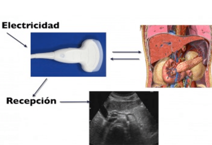1.1 Principios Físicos y Técnicos - ATELPV Cursos